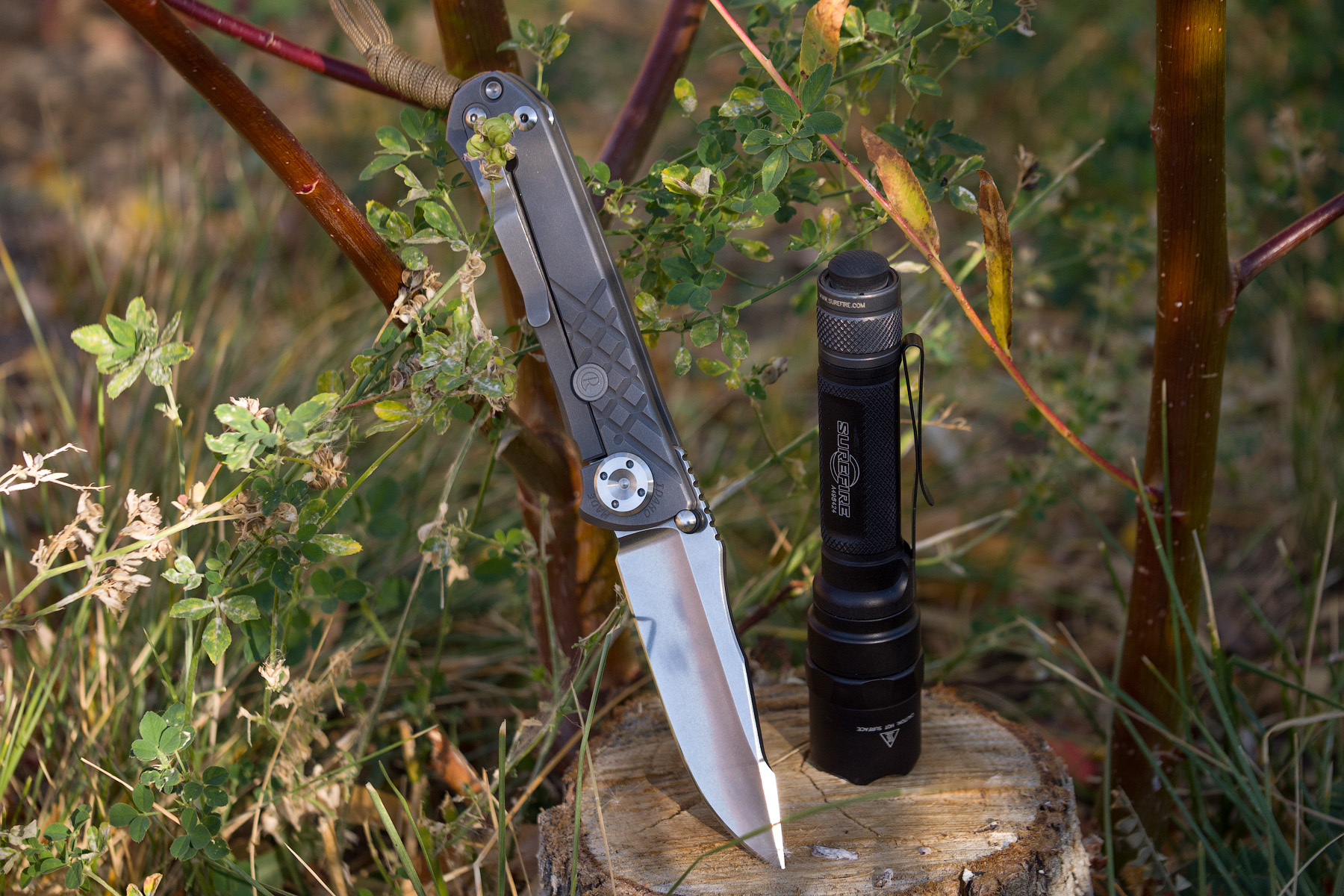 Chris Reeve's Umnumzaan gen.3 стр 6 : Guns.ru Talks